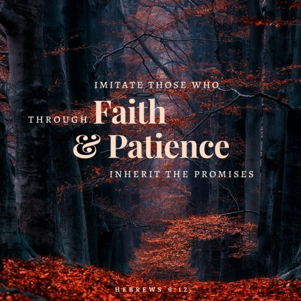 Faith And Patience Work Together - Anne-Marie Madore